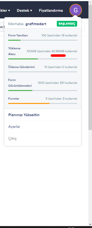 Yüklenen Verilerin Silenememesi