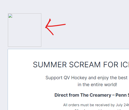 How can I remove the logo image at the top left of my form?
