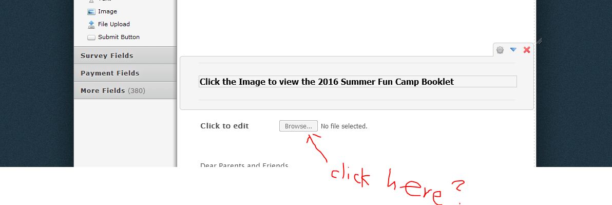How to display PDF booklet in form?