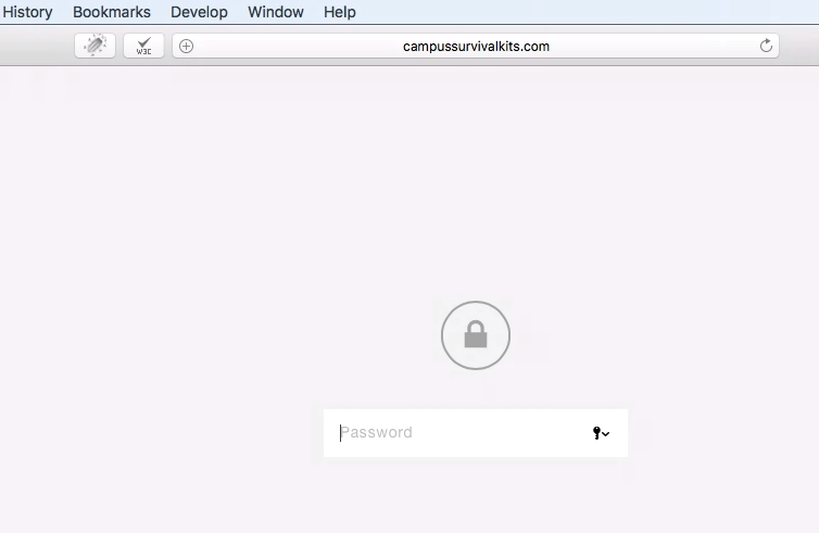 Our User Said That Clicking Tabs Or Next Button Only Takes Them On The Top Instead Of Moving To