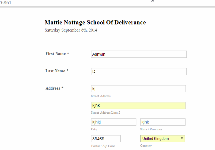 After The Form Is Submitted It Is Not Redirecting To The Url Which I Have Set In Custom Url