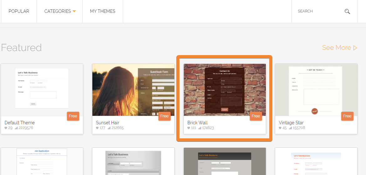 How to Apply a Theme to Your Form